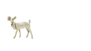 Sherri's Designs - Sparkle and Shine